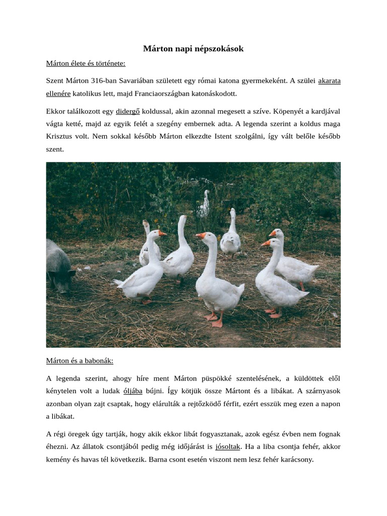 Márton napi népszokások | PDF