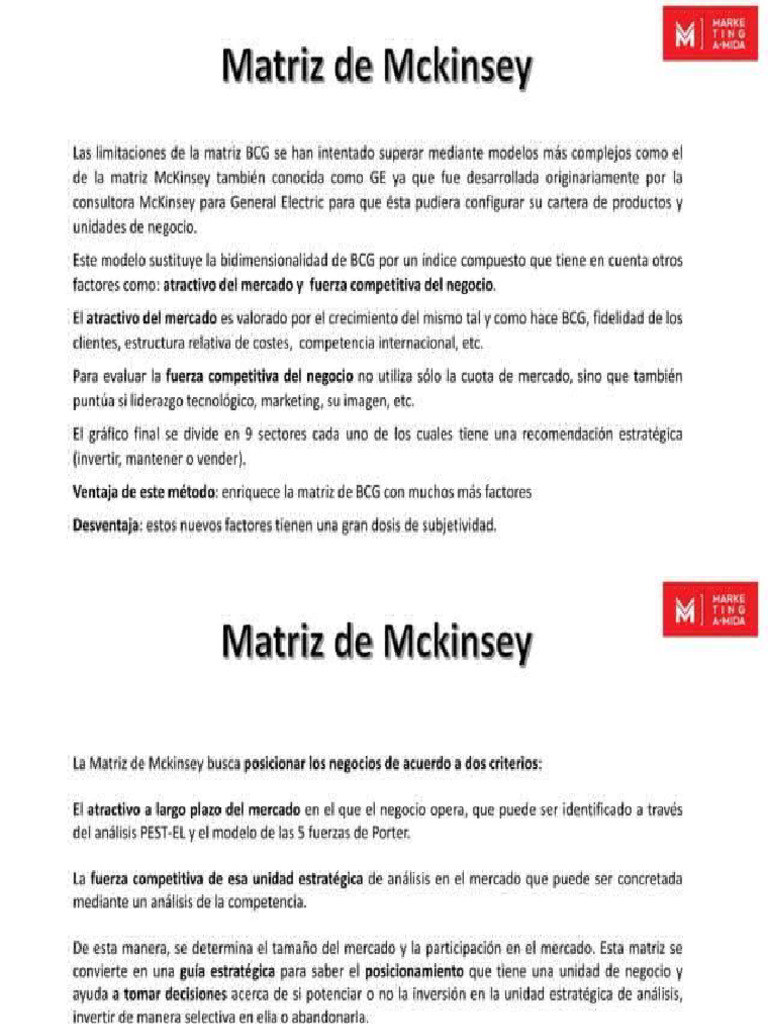 Matriz Mackensey | PDF