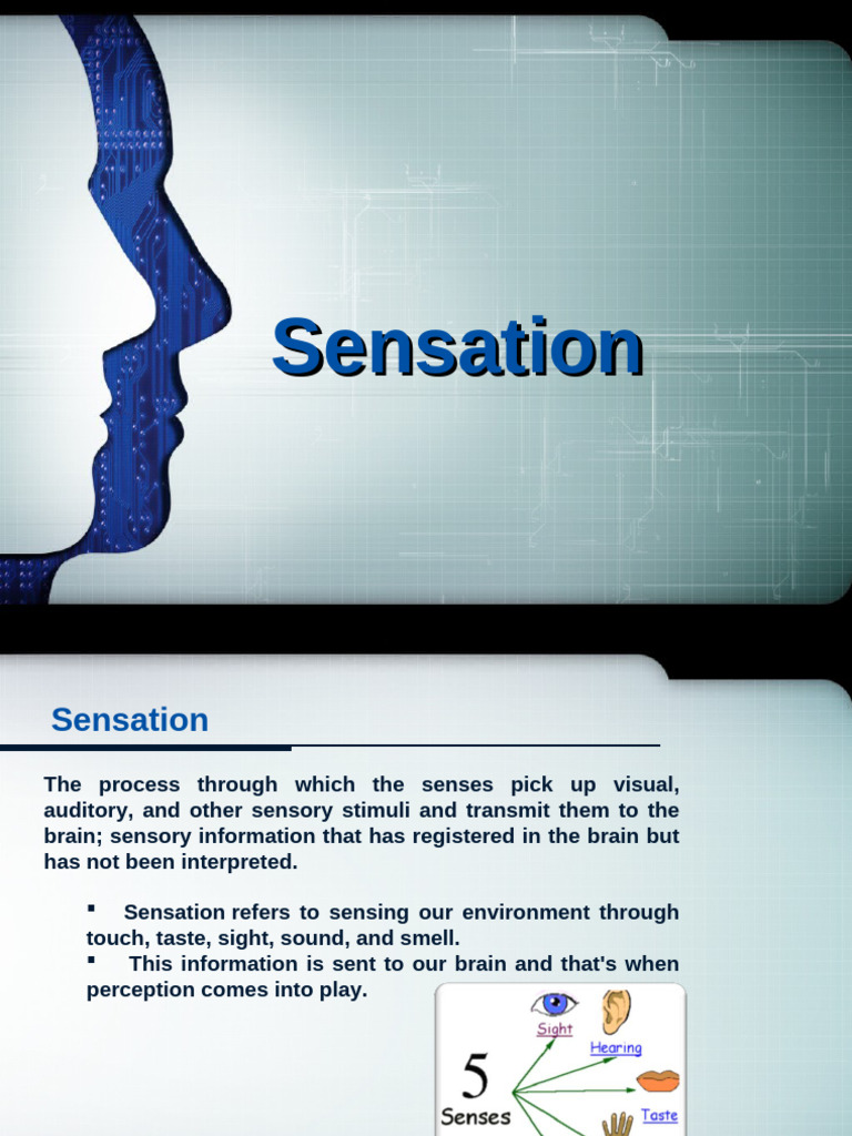 4. Sensation Presentation | PDF | Senses | Stimulus (Physiology)