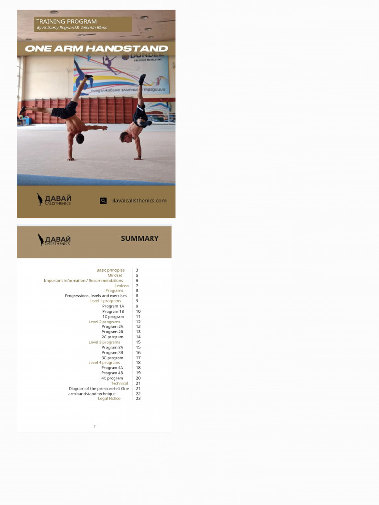 One arm handstand ️‍_250112_141646 | PDF