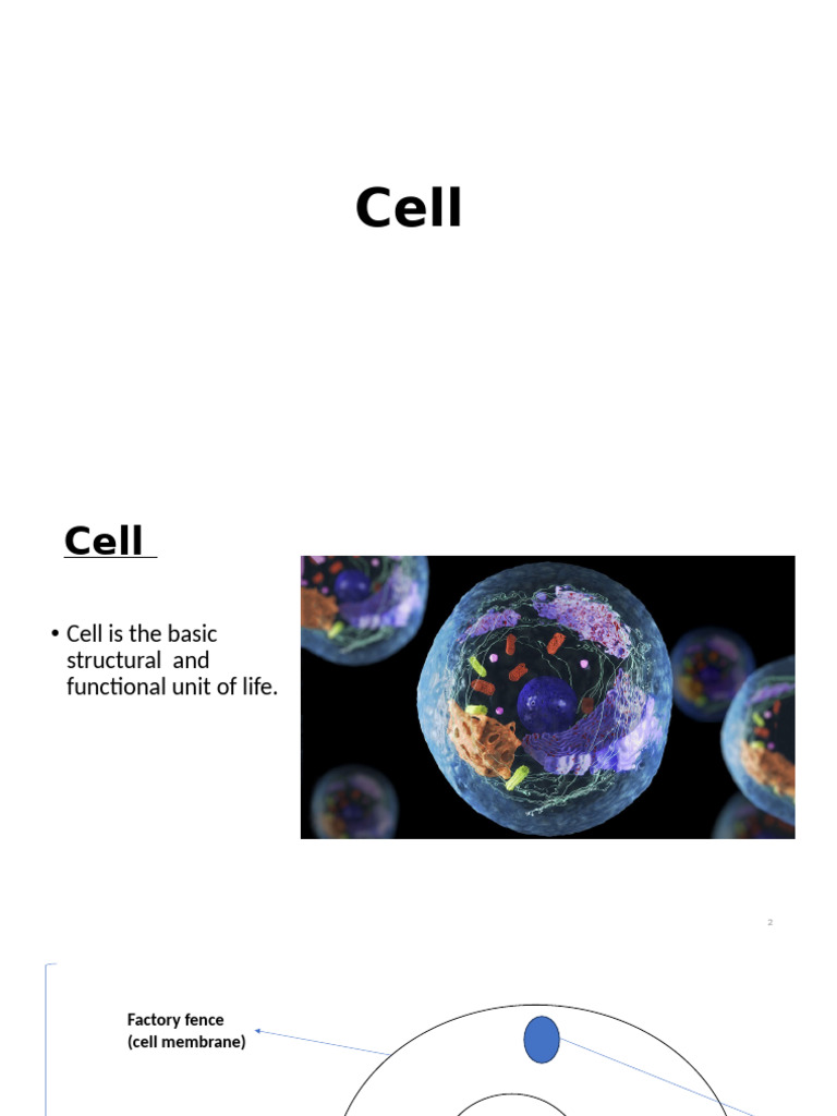 4-CELL and Components (In Detail), Edgar | PDF | Cell Membrane | Cell ...