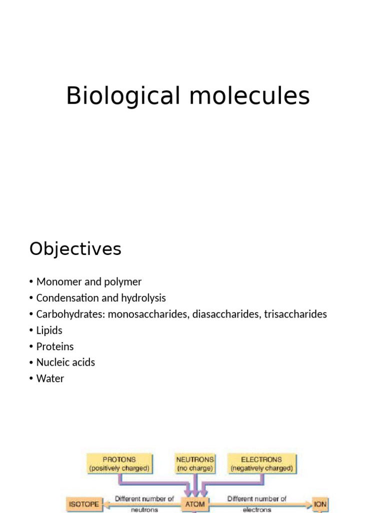 Biochemical Molecules Overview | PDF | Carbohydrates | Glucose