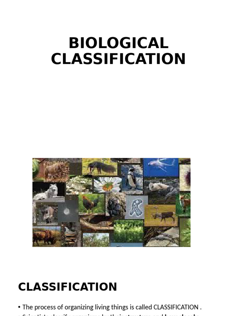 3-Biological Classification @ | PDF | Hominidae | Biology