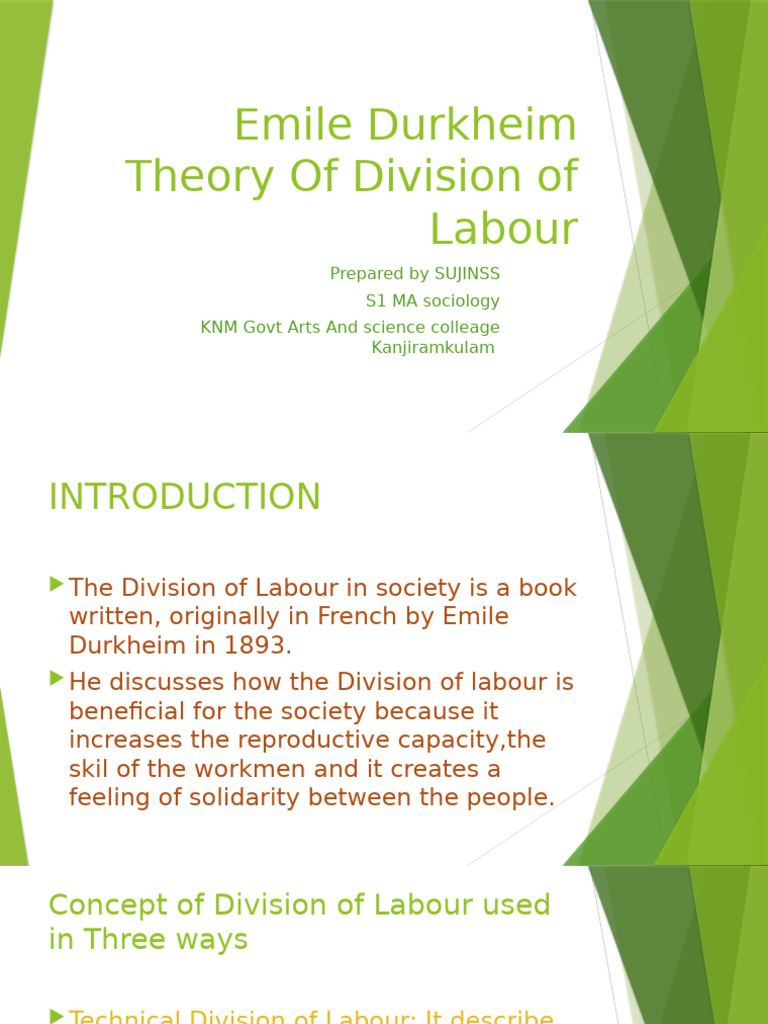 Division of Labour | PDF | Division Of Labour | Émile Durkheim