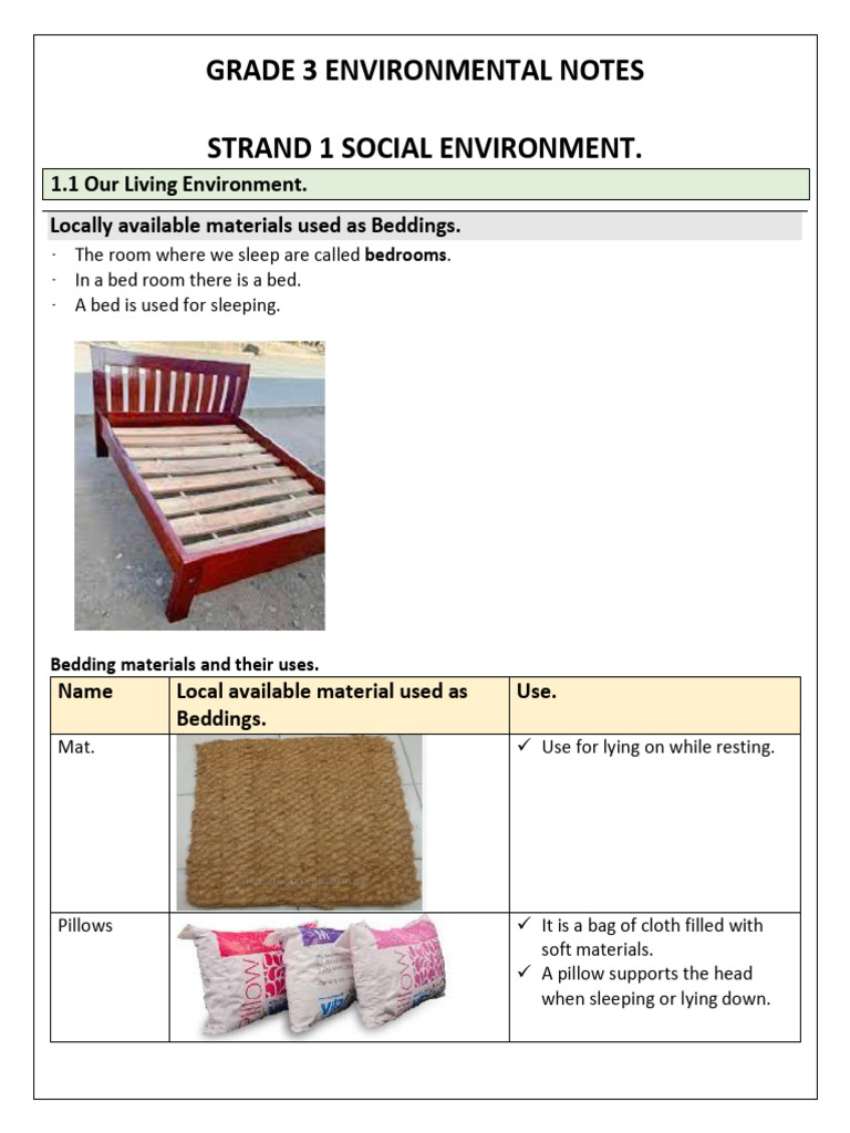 2024 Grade 3 Environmental Activities Lesson Notes 11 24 Jun 12 45 48 ...