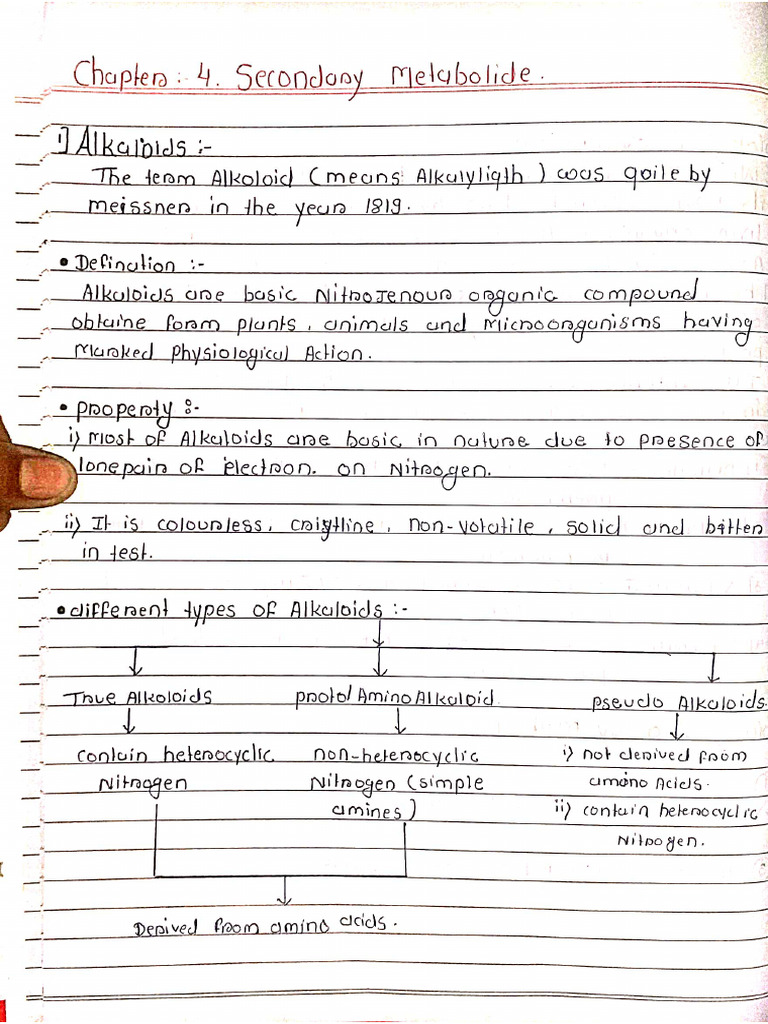 Cognosy Chap 4 | PDF