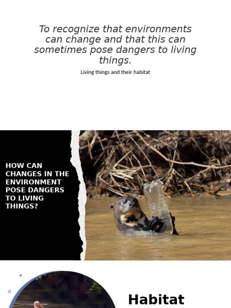 Environmental Changes and Wildlife Risks | PDF | Natural Environment ...