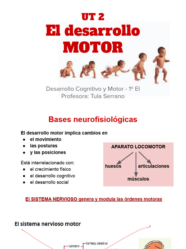 Desarrollo Motor en Educación Infantil | PDF | Neurociencia | Sistema nervioso