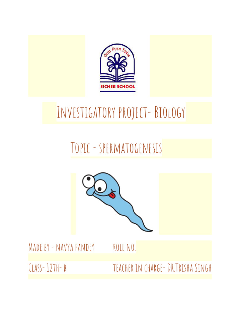 Spermatogenesis: From Spermatogonia to Sperm | PDF | Biological ...
