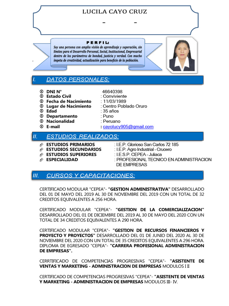 CV - Lucila Cayo Cruz 2025 | PDF | Negocios económicos | Business