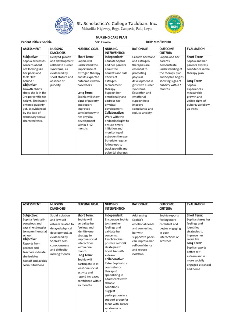 Nursing Care Plan Template | PDF | Hypertension | Self Esteem