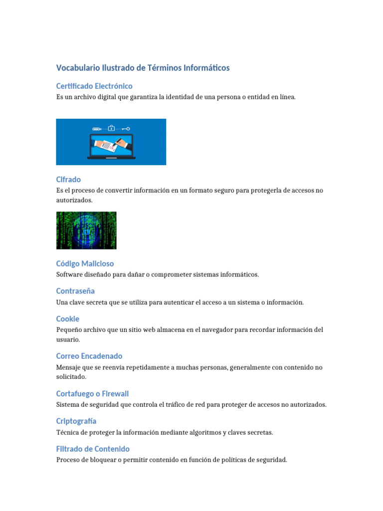 Vocabulario Ilustrado Terminos Informaticos Extendido Ampliado | PDF | Malware | Seguridad