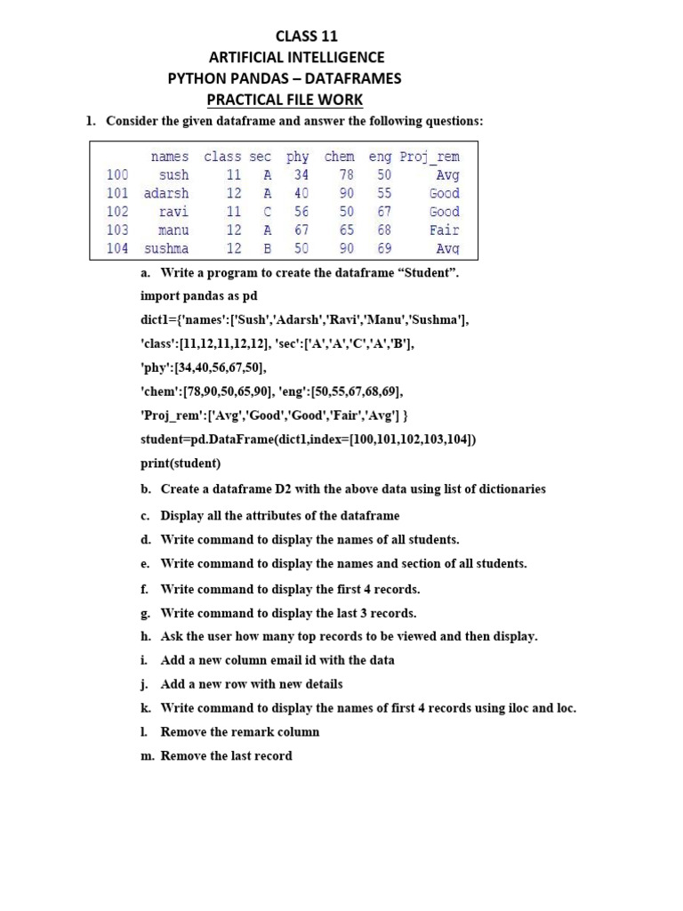 Class 11-Prac File-Dataframes | PDF