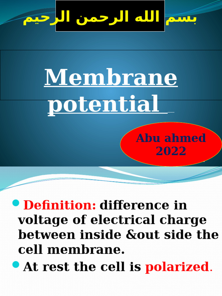 Understanding Membrane Potential and Action Potentials | PDF | Membrane ...