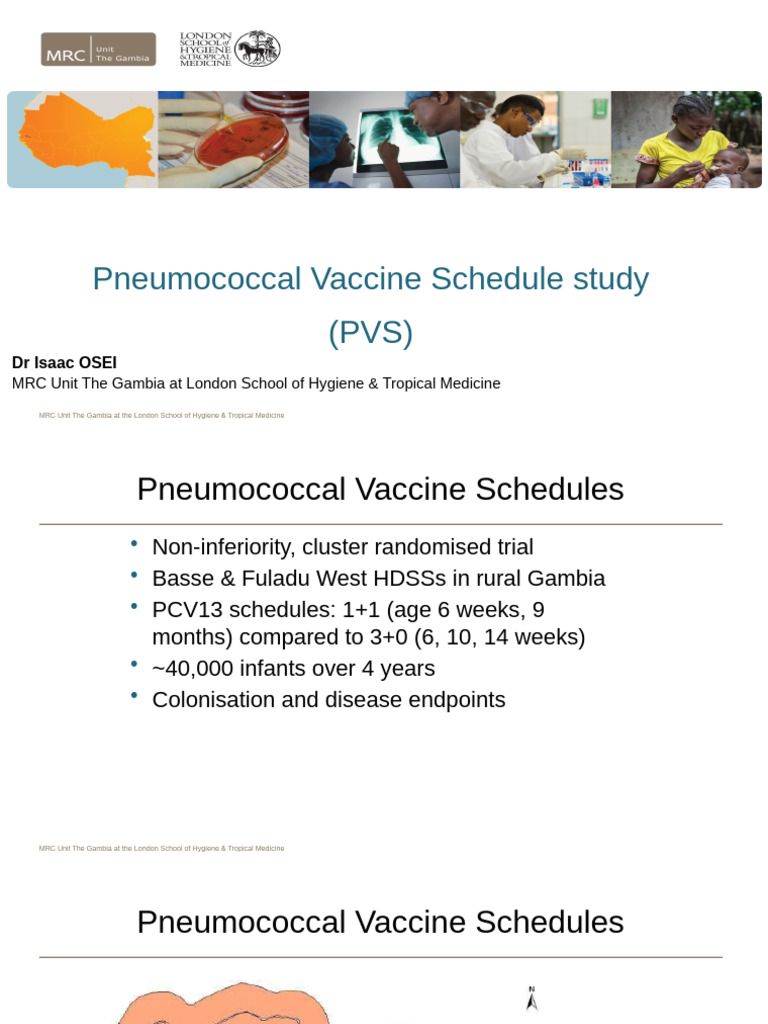 PVS Study Presentation | PDF | Pneumonia | Serotype