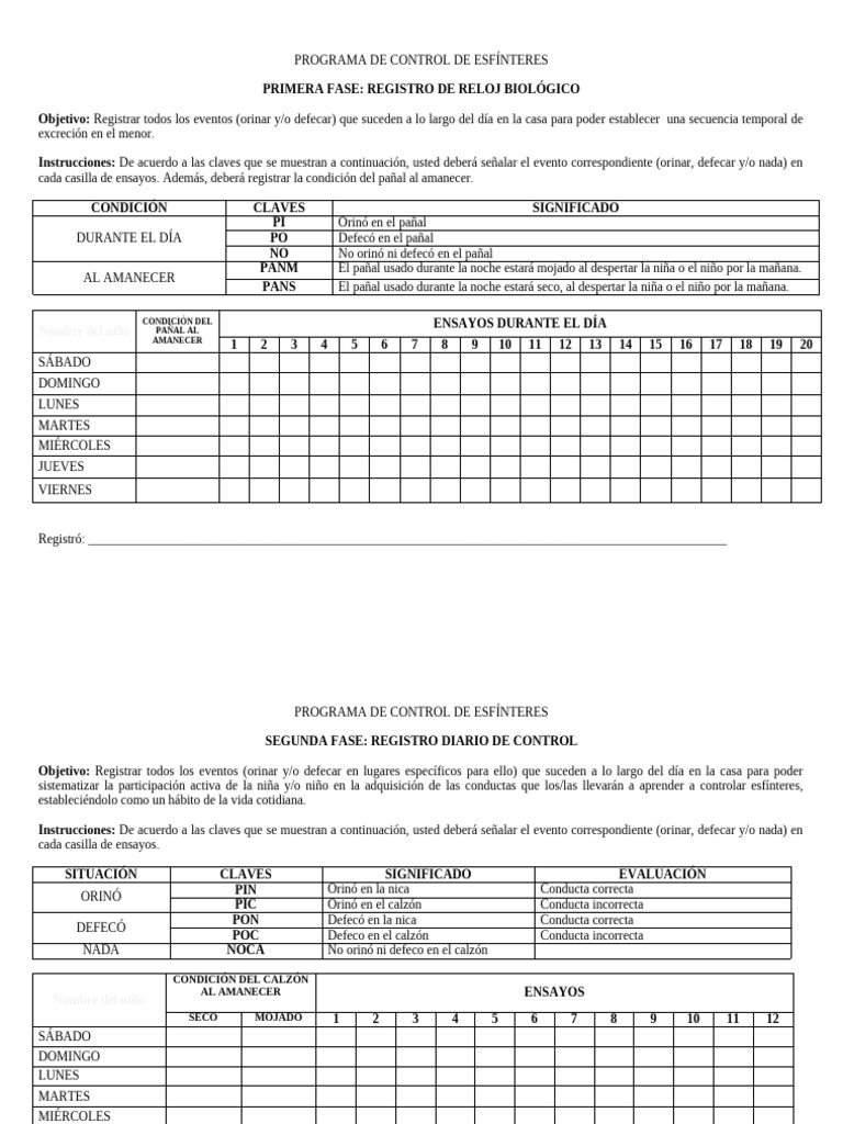 Formato De Registro Para Padres Pdf