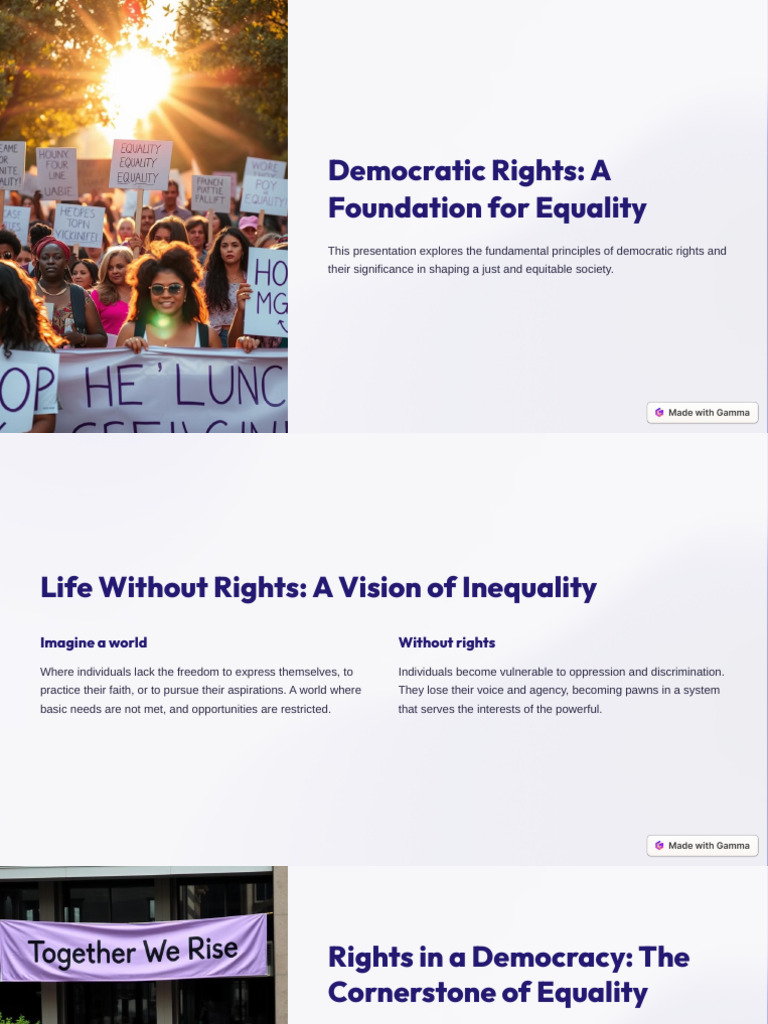 Democratic Rights A Foundation For Equality | PDF | Citizenship | Civil ...