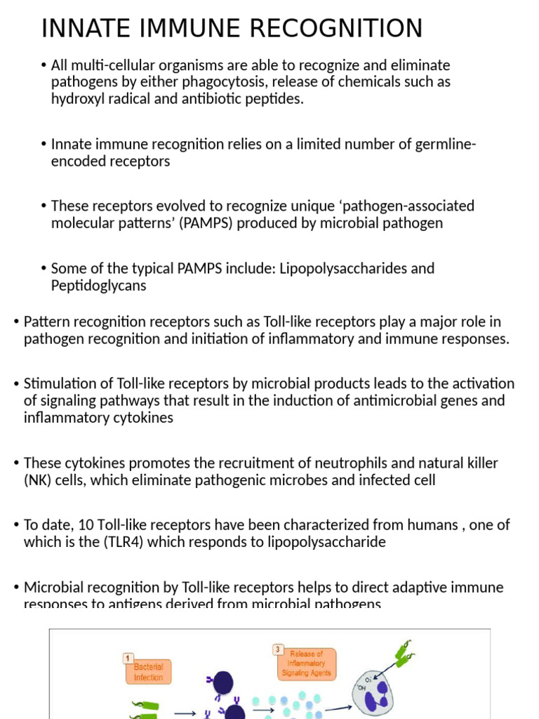 Innate Immune Recognition | PDF