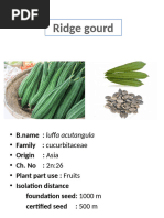 50 Scientific Names of Common Crops | PDF | Food Ingredients | Crops
