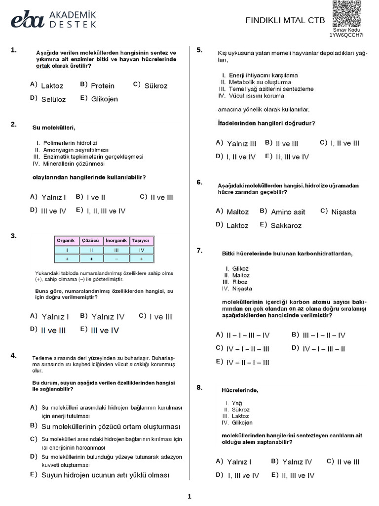 Findikli Mtal CTB | PDF