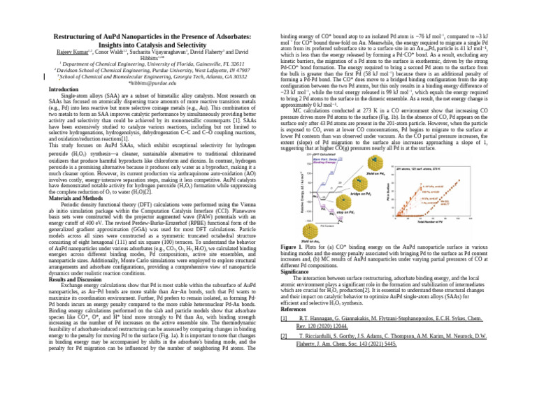 RK NAM Abstract 20241205 | PDF | Density Functional Theory | Catalysis