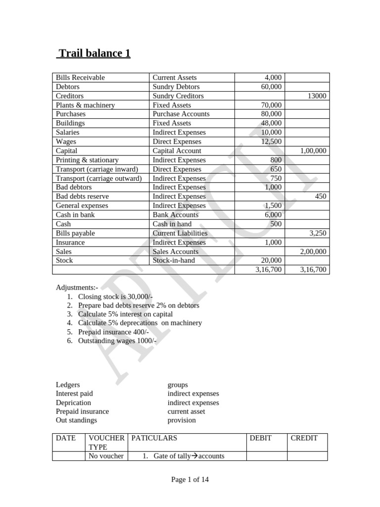 Trail balance AND VOCHERS | PDF | Debits And Credits | Expense