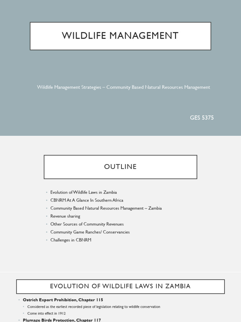 Wildlife Management Strategies - CBNRM | PDF | Natural Environment