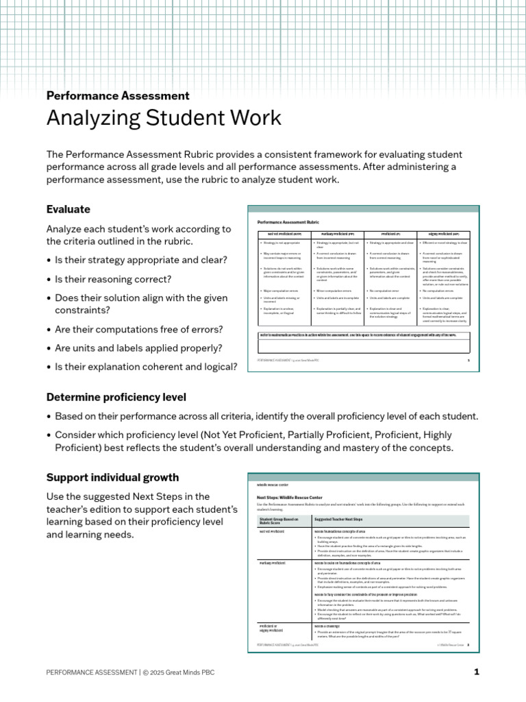 Student Performance Assessment Guide | PDF | Thought | Mathematics