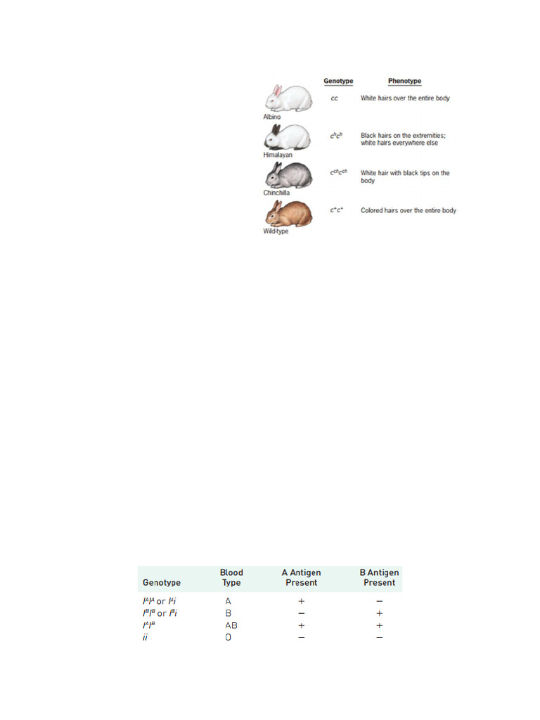 BB204 (Multiple Allelism & Mutation) | PDF | Dominance (Genetics) | Allele