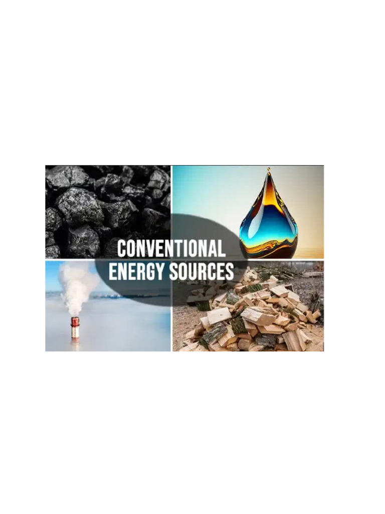Eco Project | PDF