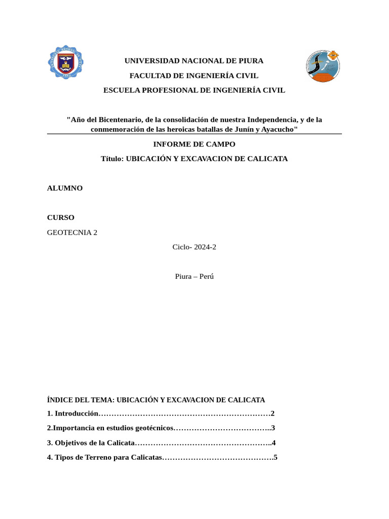 CALICATA | PDF | Suelo | Fundación (Ingeniería)