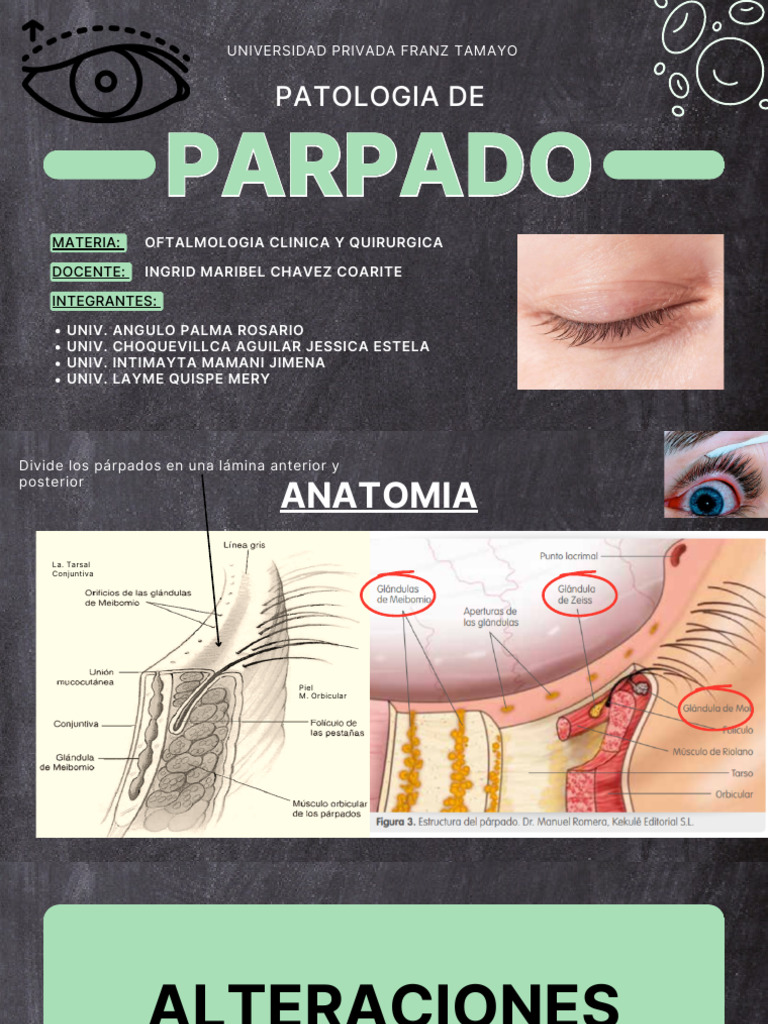 Patologia de Parpado - 20240830 - 163515 - 0000 | PDF | Enfermedades y trastornos ...
