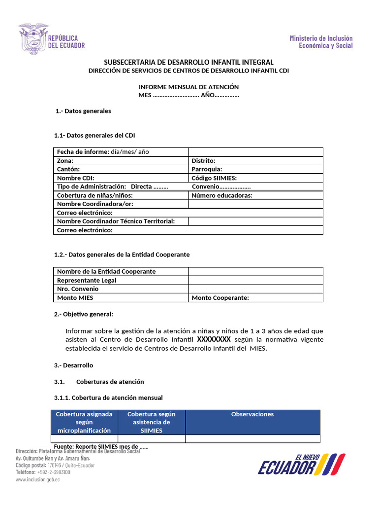 Formato Informe Mensual CDI Coordinadora | PDF