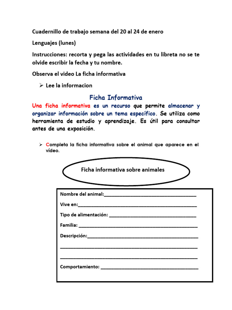 Cuadernillo de Actividades: Fichas Informativas | PDF