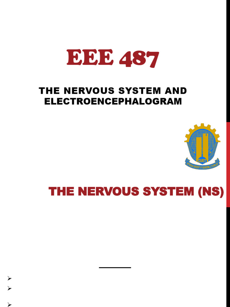 Lec - 05. The Nervous System and EEG | PDF | Neuron | Nervous System