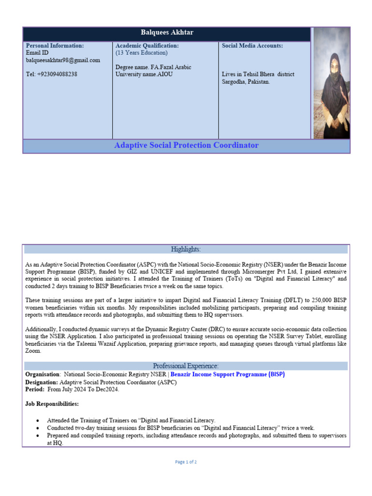 CV's Template-1(2)(1) | PDF