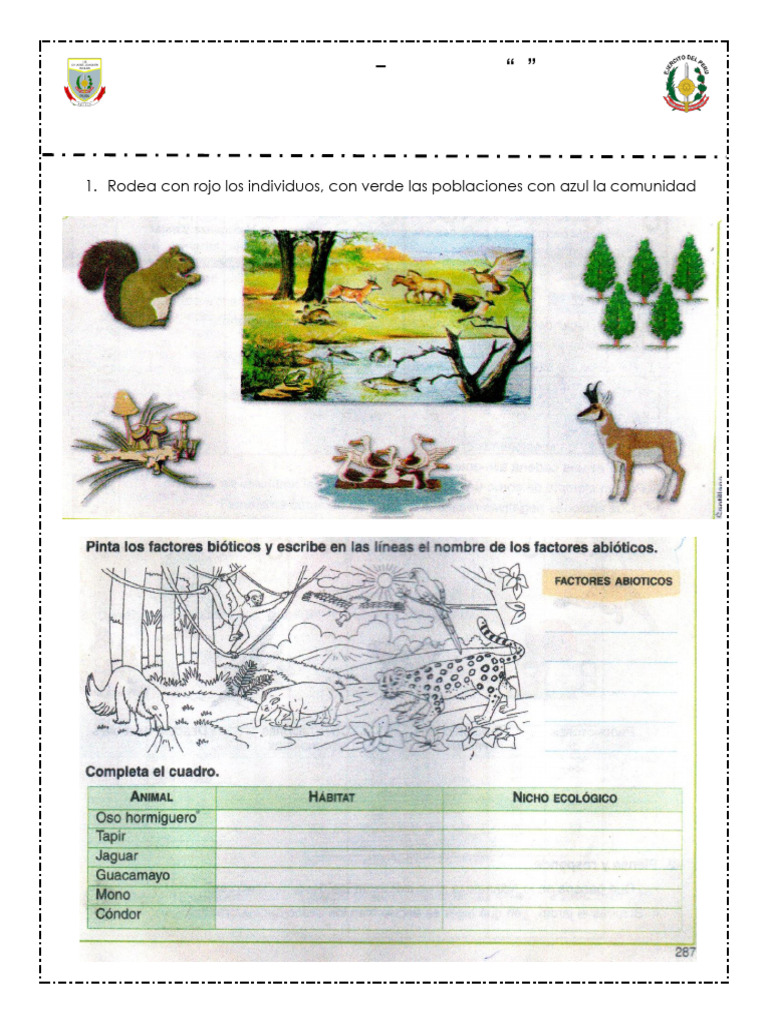 FICHA PRACTICA CIENCIA - LOS ECOSISTEMA | PDF