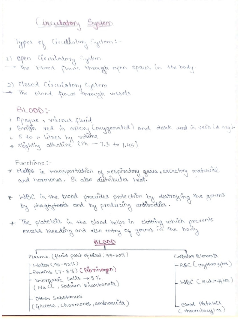 Class 1 GK | PDF