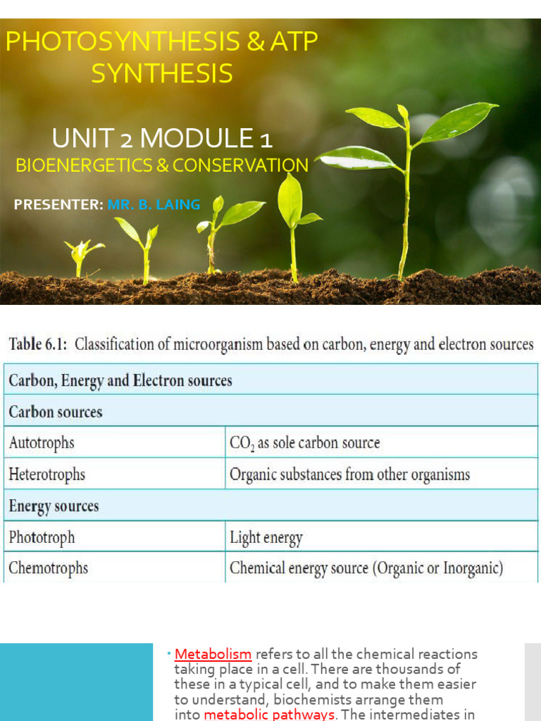 Unit 2 - Photosynthesis & Atp Synthesis Na | PDF | Chloroplast ...