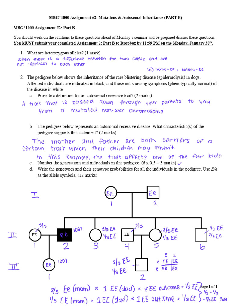 Mutations & Inheritance Assignment | PDF