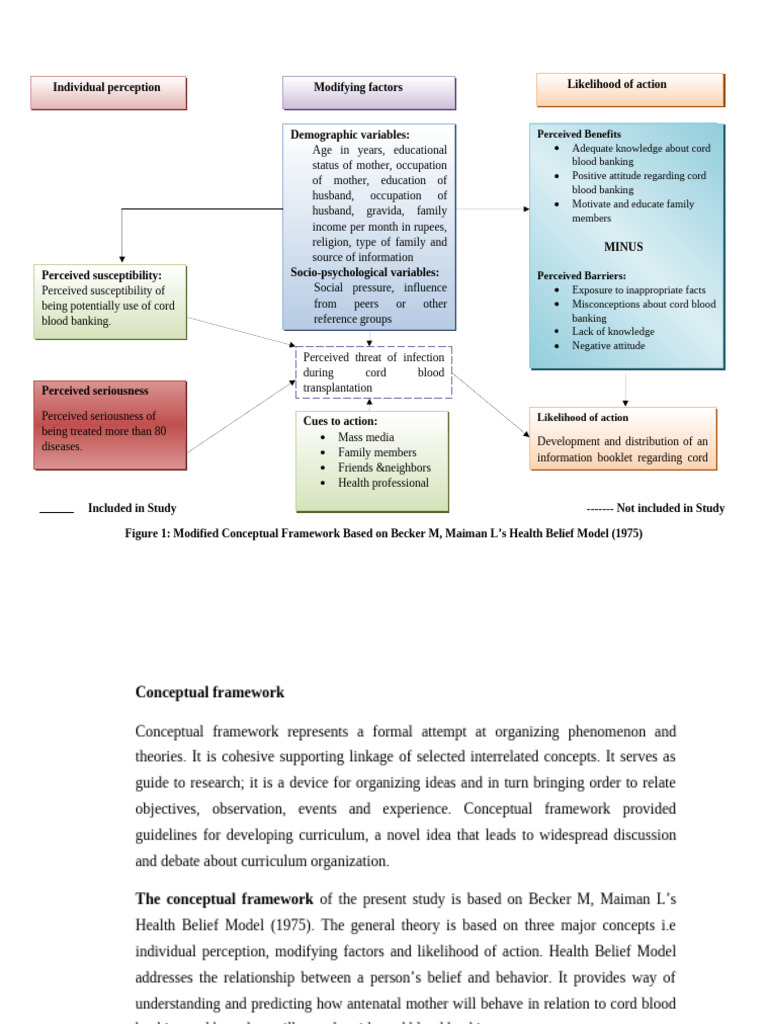 Conceptual Framework New | PDF | Attitude (Psychology) | Psychology