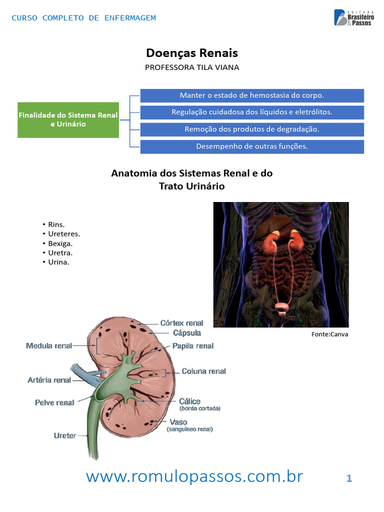 PDF Doencas Renais Aula Completa | PDF | Hemodiálise | Rim