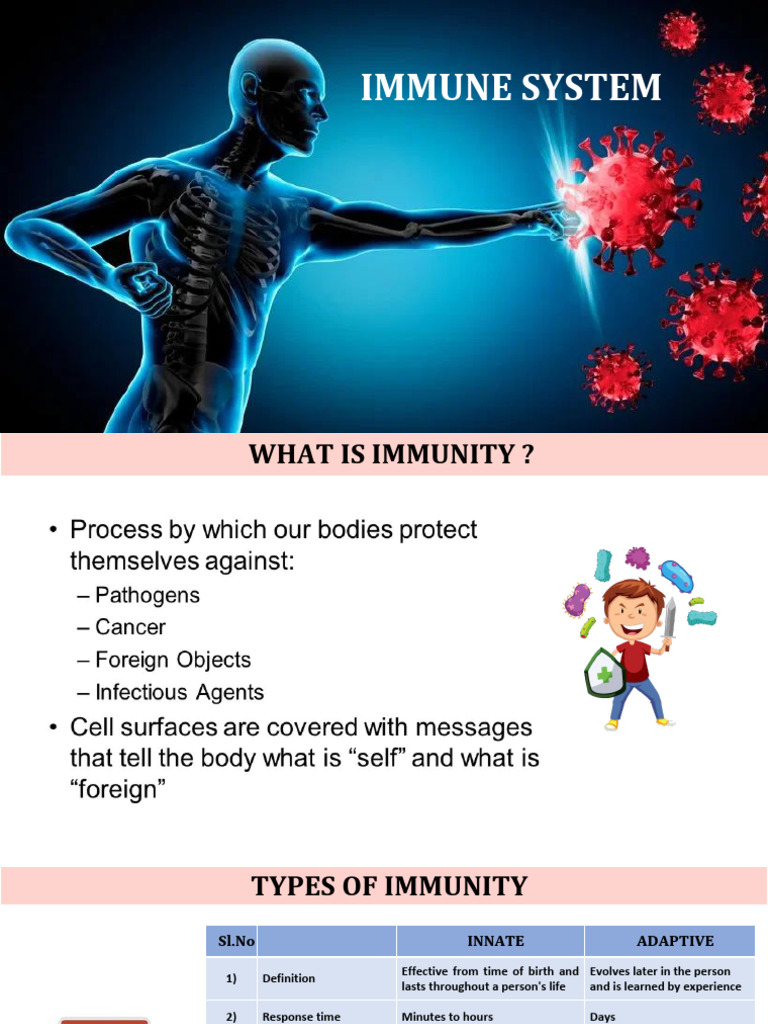 immune system | PDF | Immune System | Lymphocyte