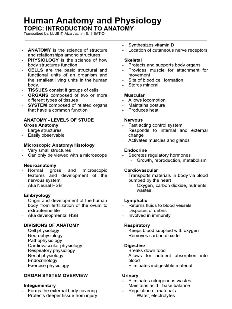 Introduction to Human Anatomy Basics | PDF | Anatomical Terms Of Motion ...