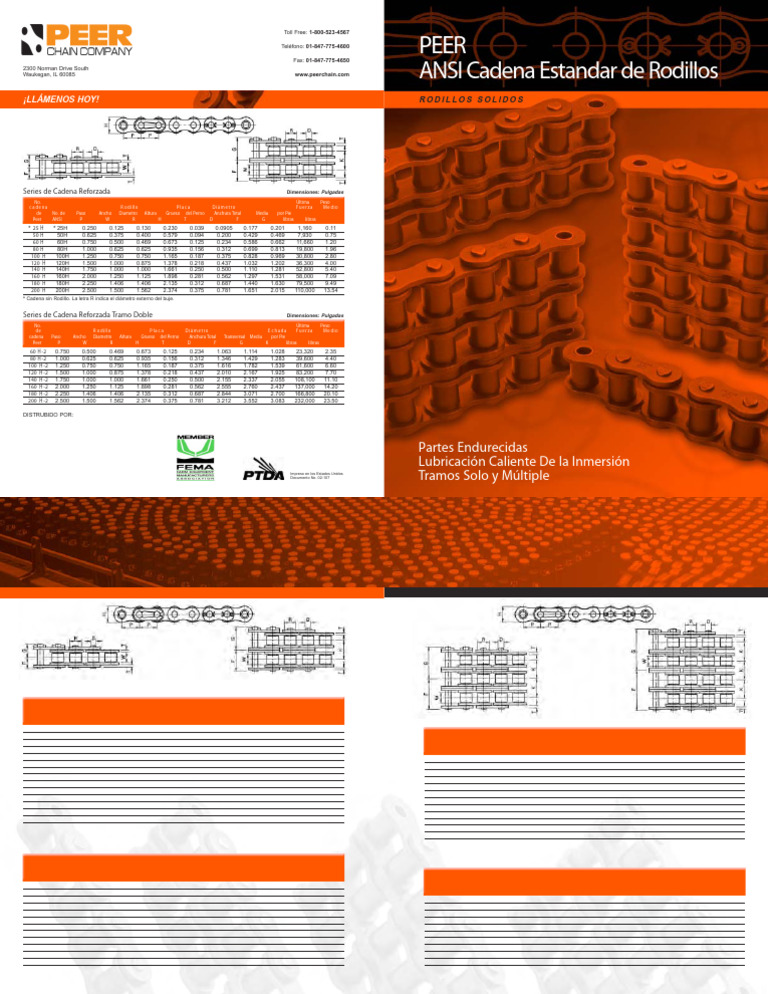 Ansi STD Flyer 4pg Spanish Orange | PDF