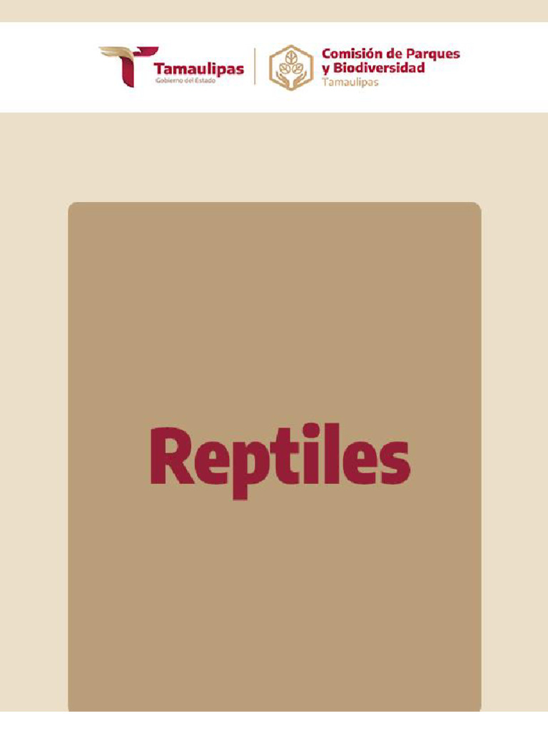 Reptiles | PDF