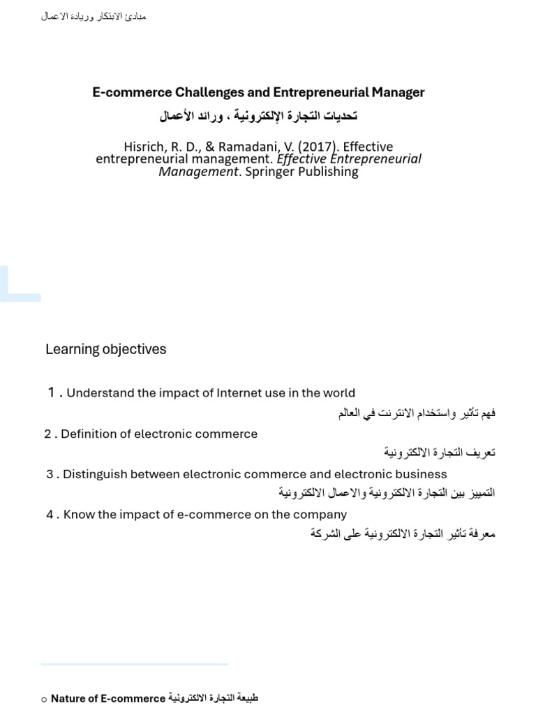Chapter 9E-Commerce Challenges and Entrepreneurial Manager-2 | PDF