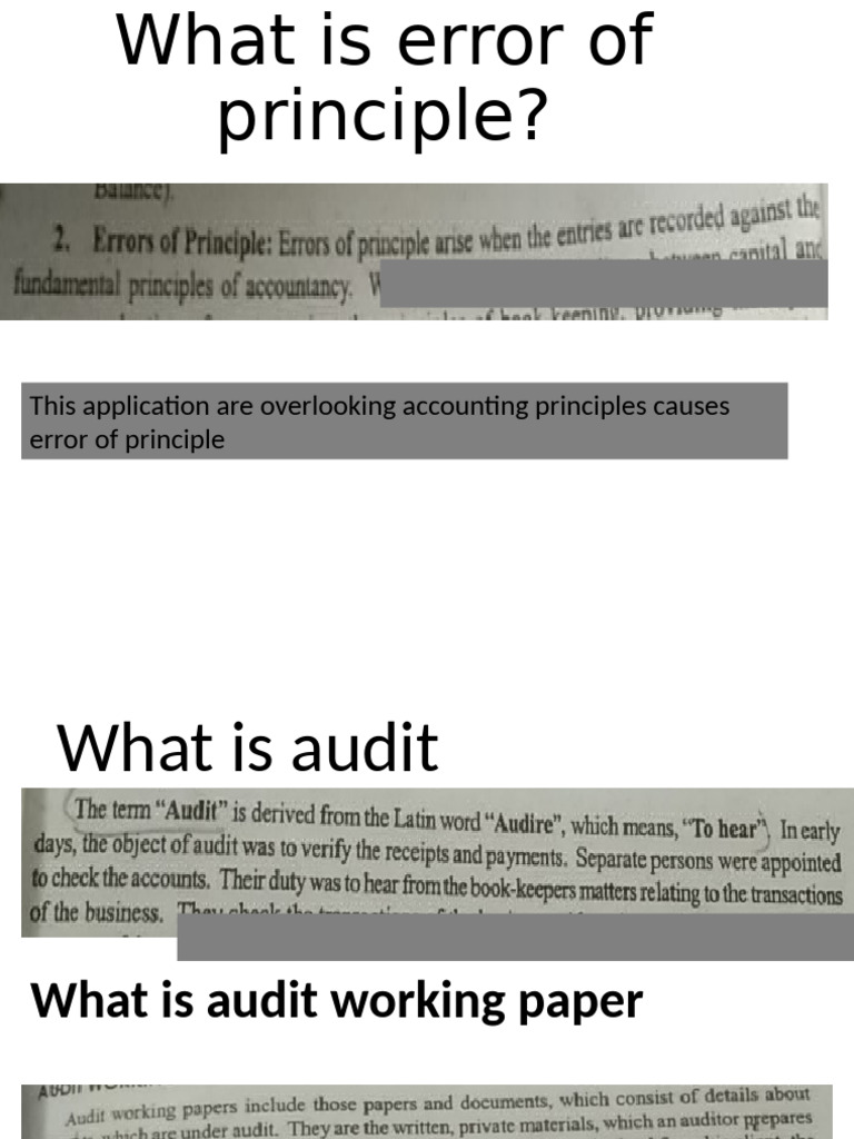 practical auditing notes | PDF