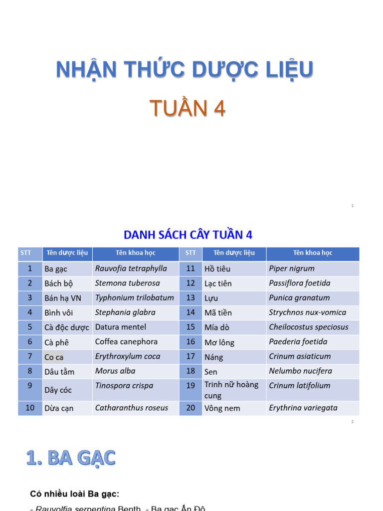 NTDL Bu I 4 | PDF