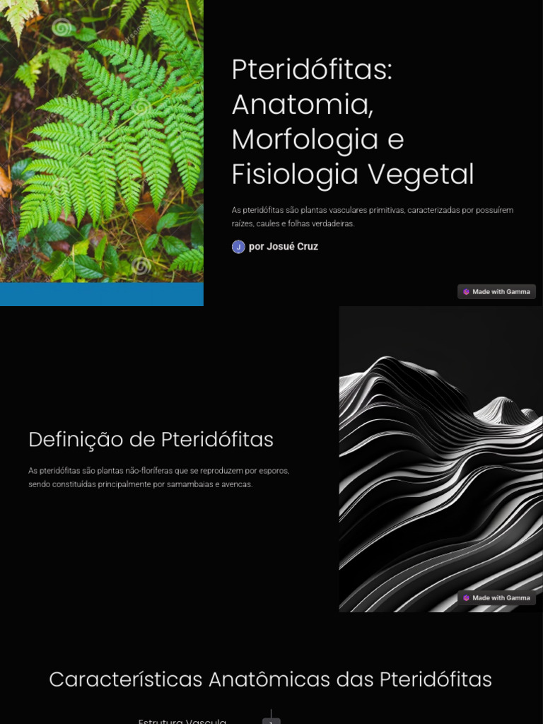 Anatomia e Morfologia das Pteridófitas | PDF | Samambaia | Plantas